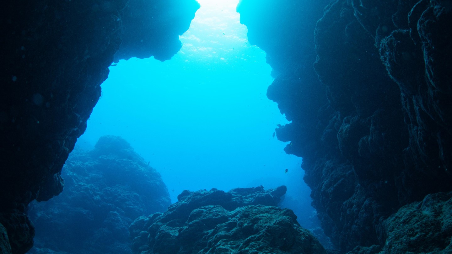 New issuers add welcome depth to UK RMBS | TwentyFour Asset Management